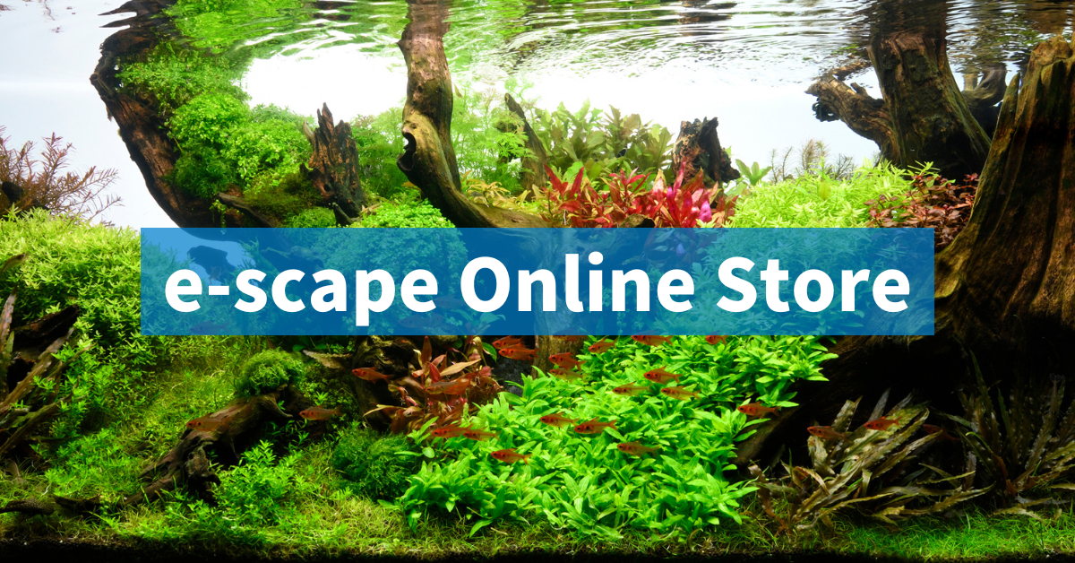 e-scape オンラインストア – e-scape online